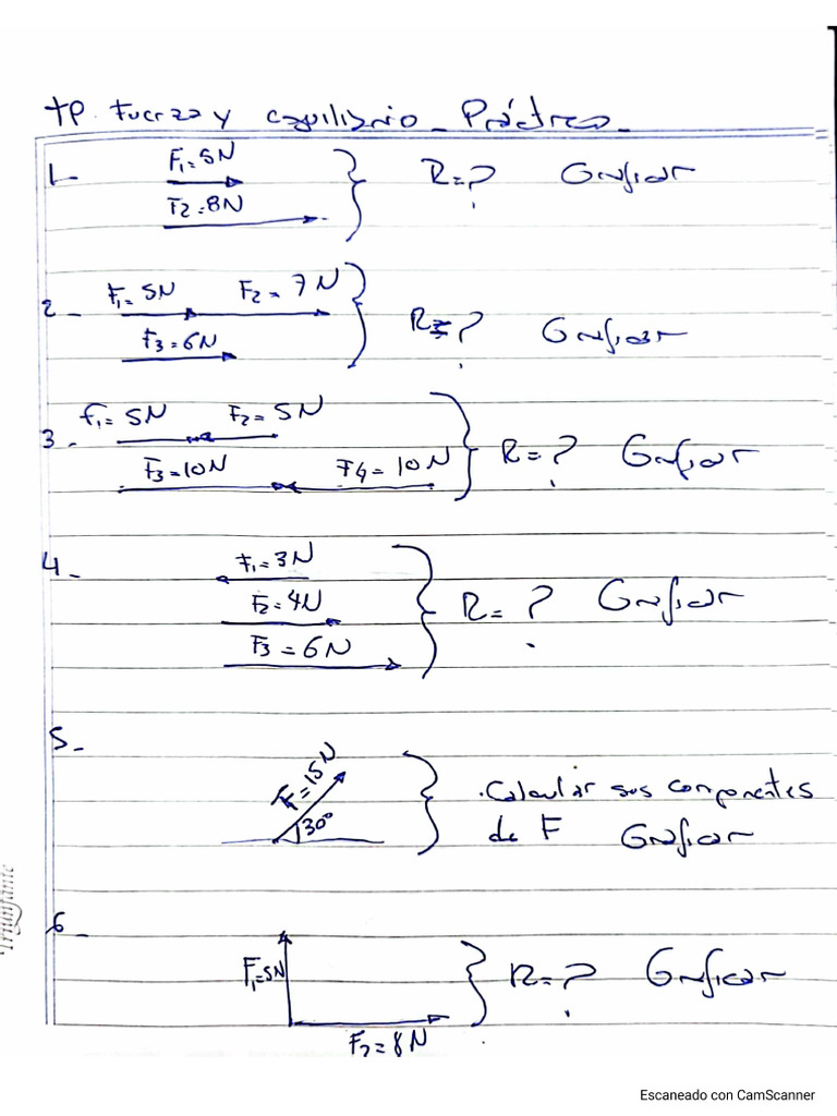 TP6 ejercicios fuerzas | PDF