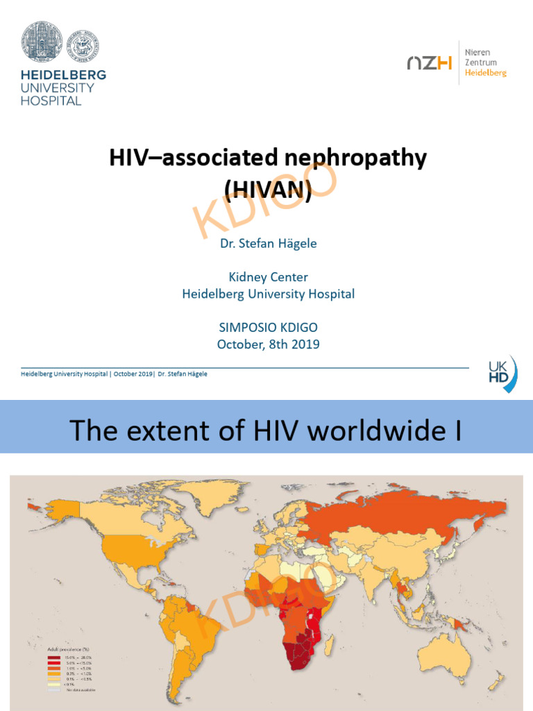 KDIGO HIVAN Presentation Hägele Coruna | PDF | Chronic Kidney Disease | Kidney Disease