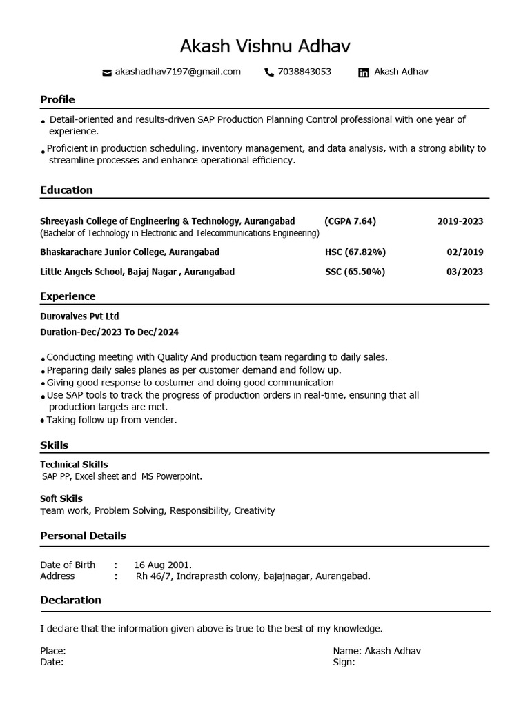 Akash Adhav FlowCV Resume 2025 | PDF