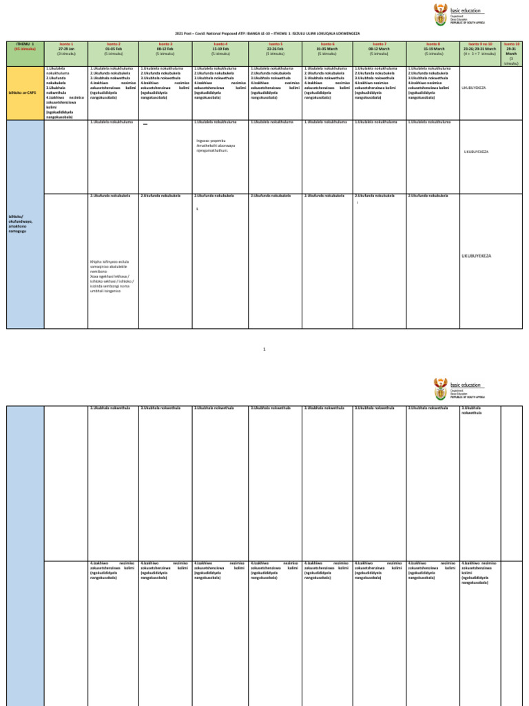2021 Atp Grade 10 Isizulu Fal | PDF