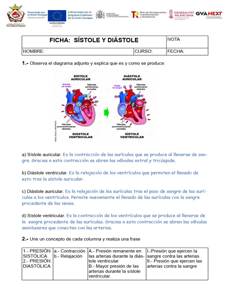 Sístole y Diástole: Funciones Cardíacas | PDF