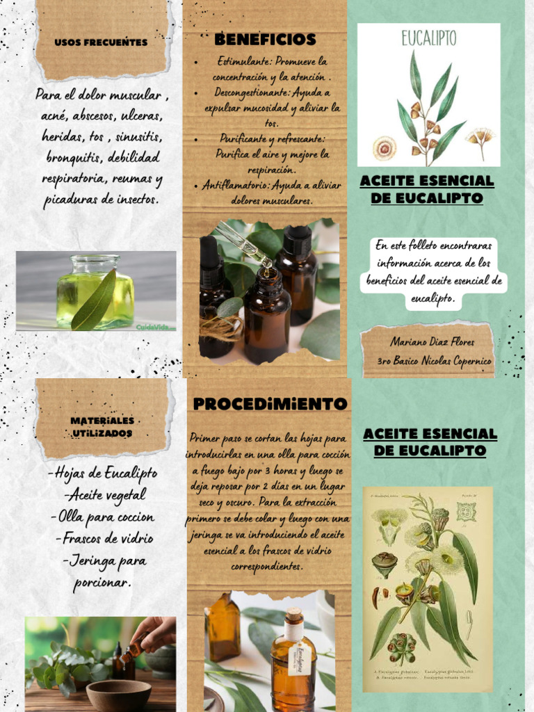 Folleto Tríptico Proyecto Educativo Infantil Collage Ilustrado Turquesa y Beige (Trípticos) | PDF