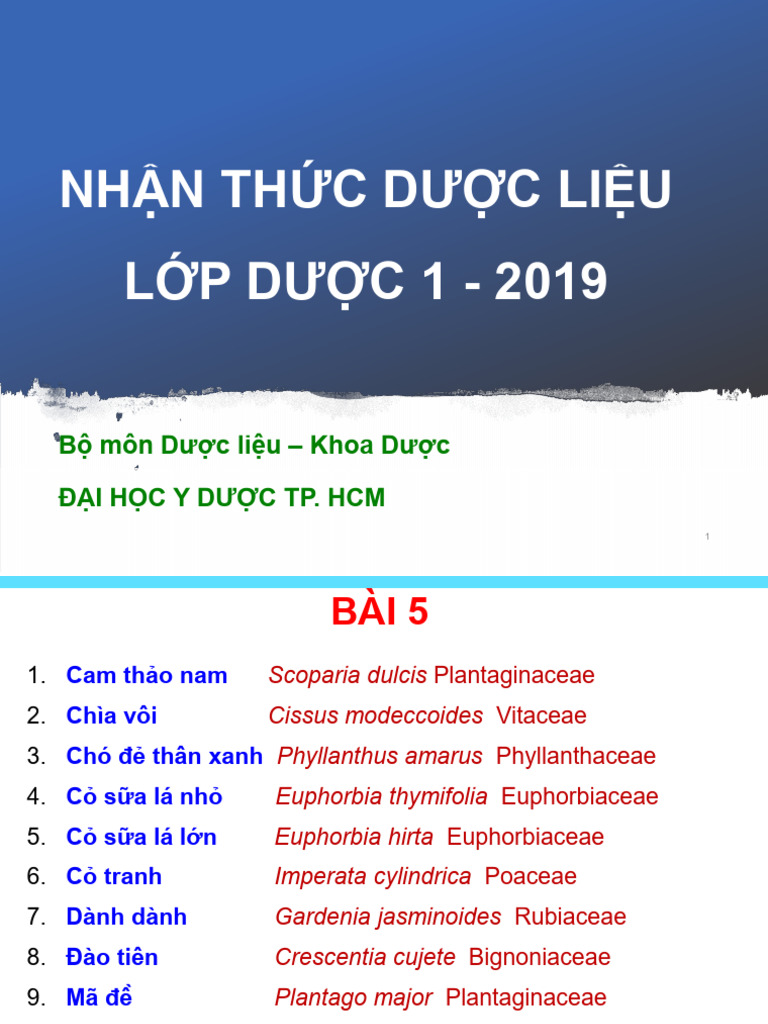 NTDL Bu I 5 | PDF