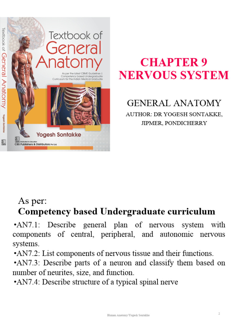 Chapter 9 Nervous System PDF | PDF | Chemical Synapse | Axon