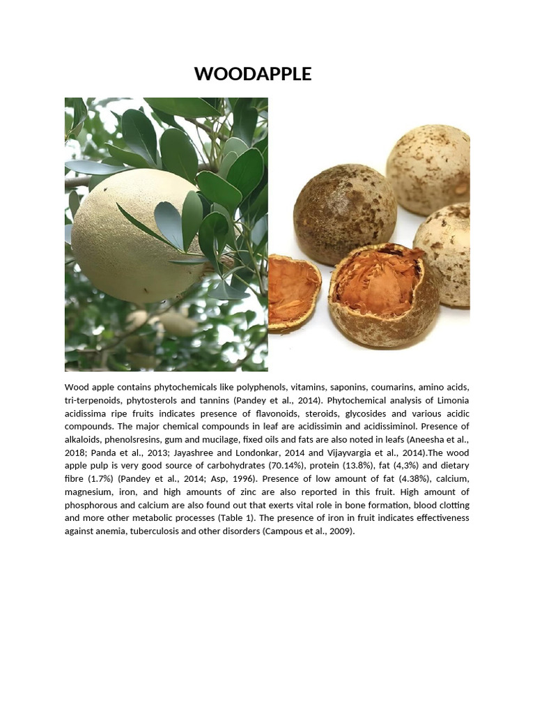 WOODAPPLE DATA | PDF | Antioxidant
