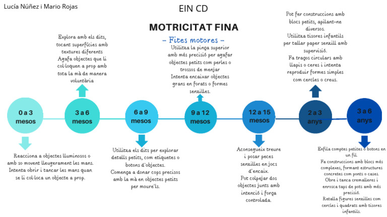 Timeline Cycle | PDF