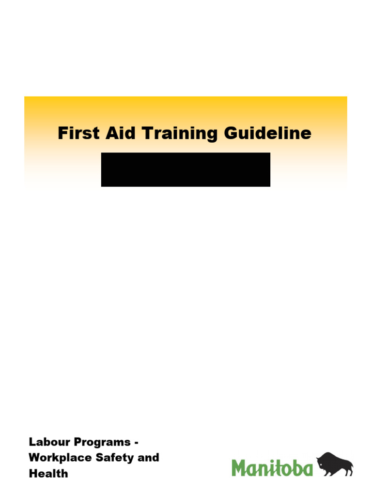 wsh_firstaid_training_guidelines | PDF | First Aid | Cardiopulmonary ...