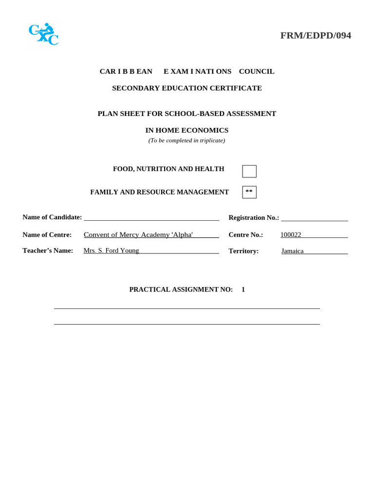 Chavanae Garvey - TIME PLAN TEMPLATE | PDF