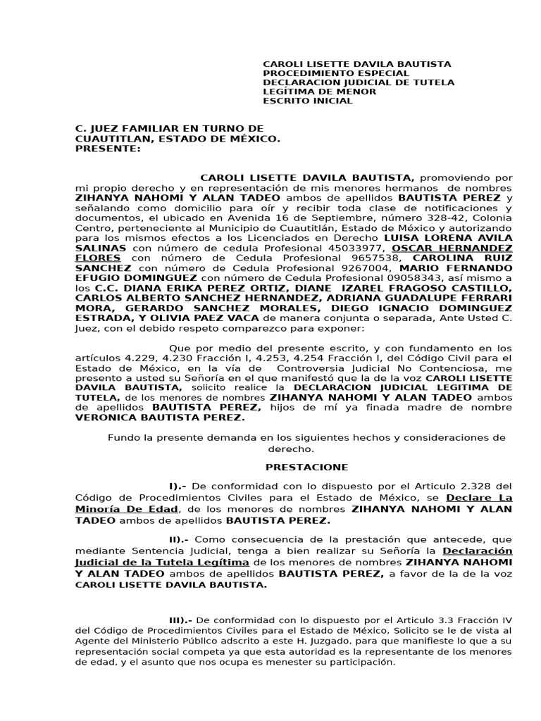 Solicitud de Tutela Judicial de Menores | PDF | Demanda judicial | Justicia