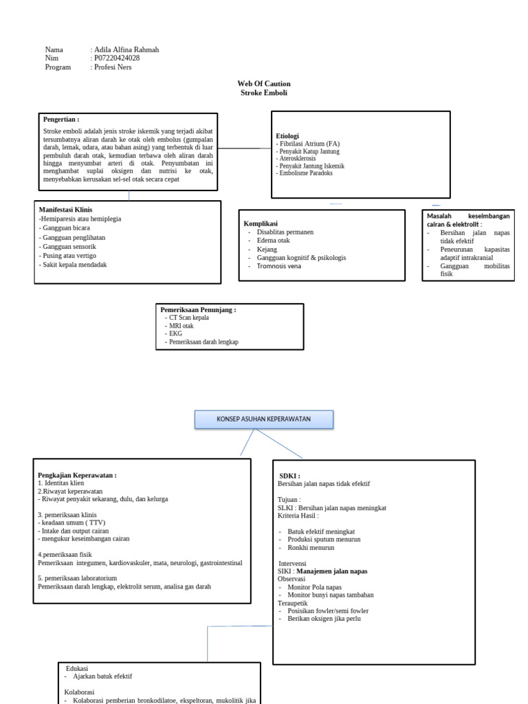 WOC Stroke Emboli | PDF