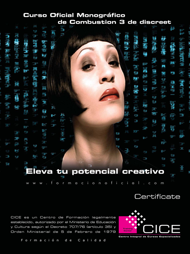 Curso Oficial de Combustion 3 de Discreet | PDF | Puesto de trabajo ...