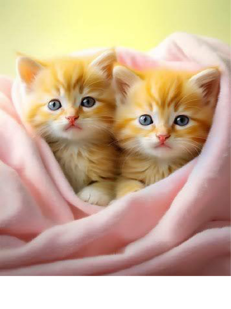 Imagen de Gatitos | PDF
