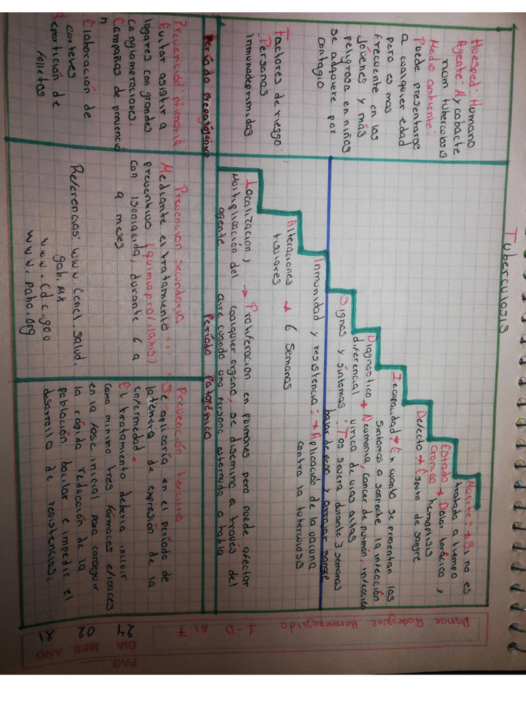 Esquema de la historia natural dela enfermedad(1) | PDF Esquema de la historia natural dela enfermedad(1) | PDF