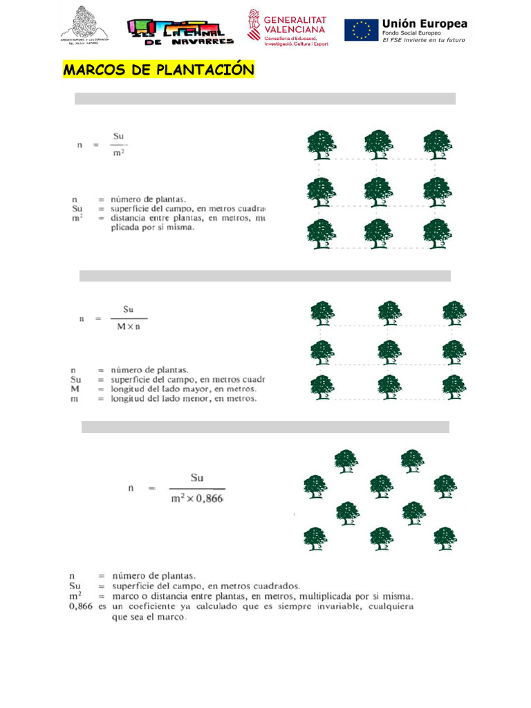 Marcos de Plantación: Cuadrado y Tresbolillo | PDF