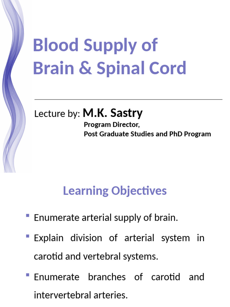 Blood Supply of Brain & Spinal Cord | PDF | Spinal Cord | Brainstem