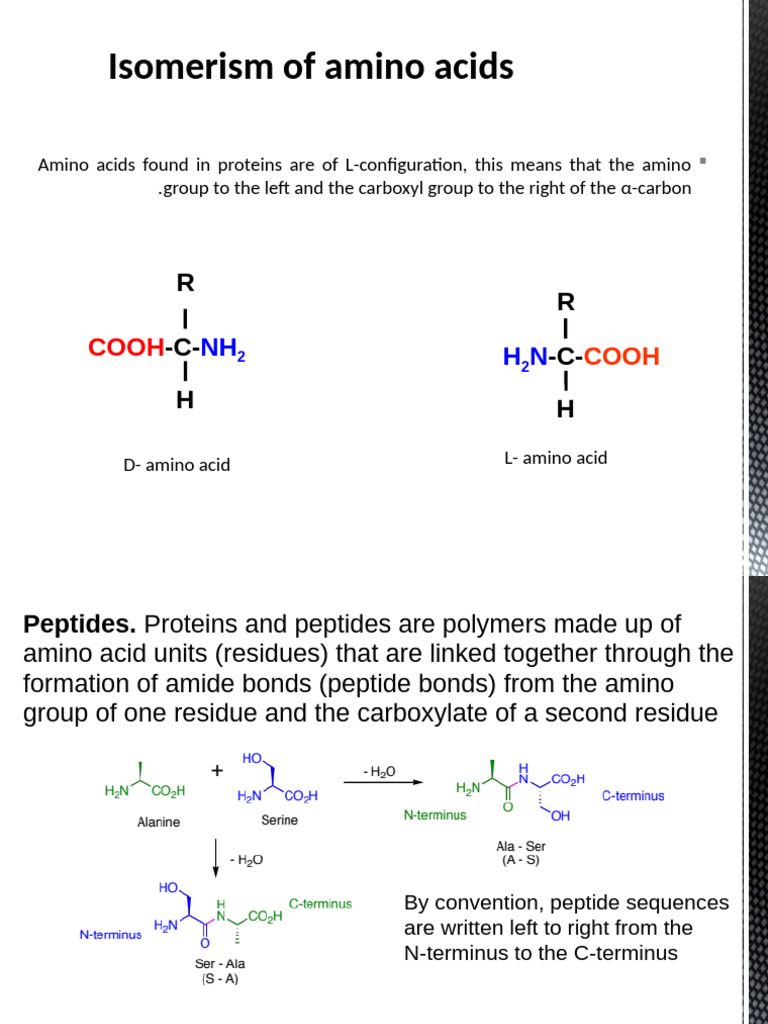 lecture 1 and 2 | PDF | Alpha Helix | Beta Sheet