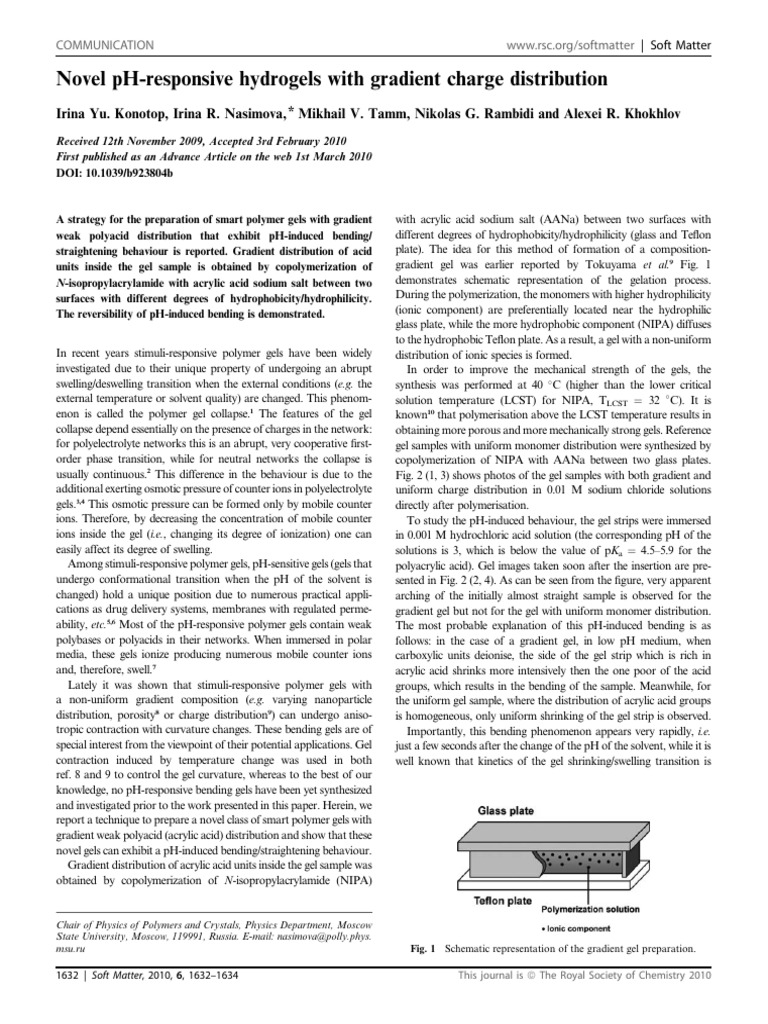 pH-Responsive Gradient Charge Hydrogels | PDF | Gel | Ion