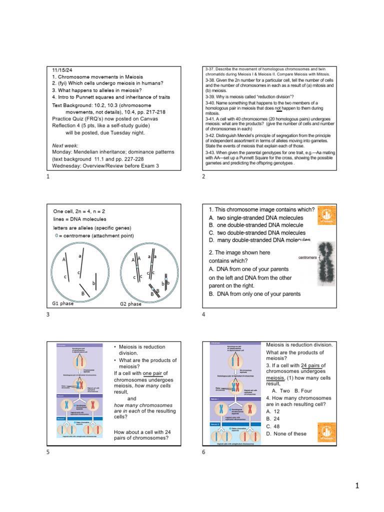 33 Nov15 Meiosis & Mendel.2 | PDF | Meiosis | Dominance (Genetics)