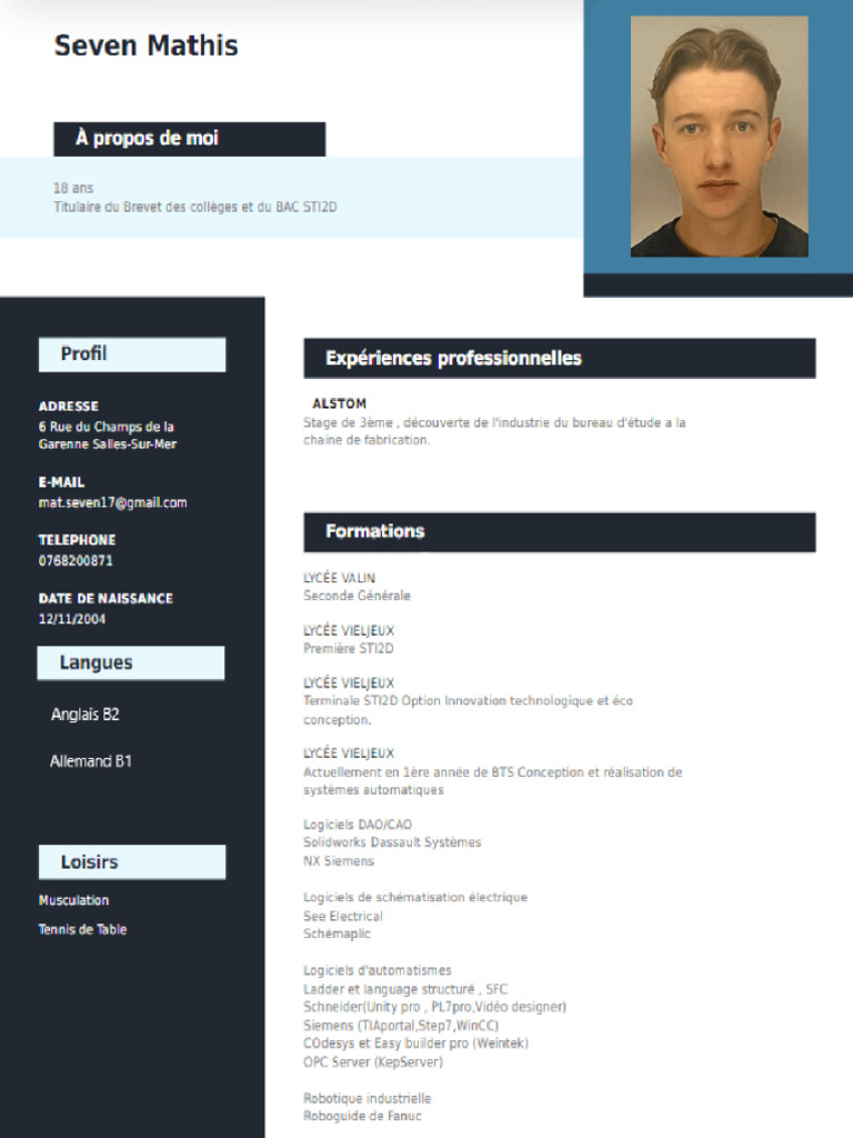 SEVEN_Mathis_CV_ | PDF