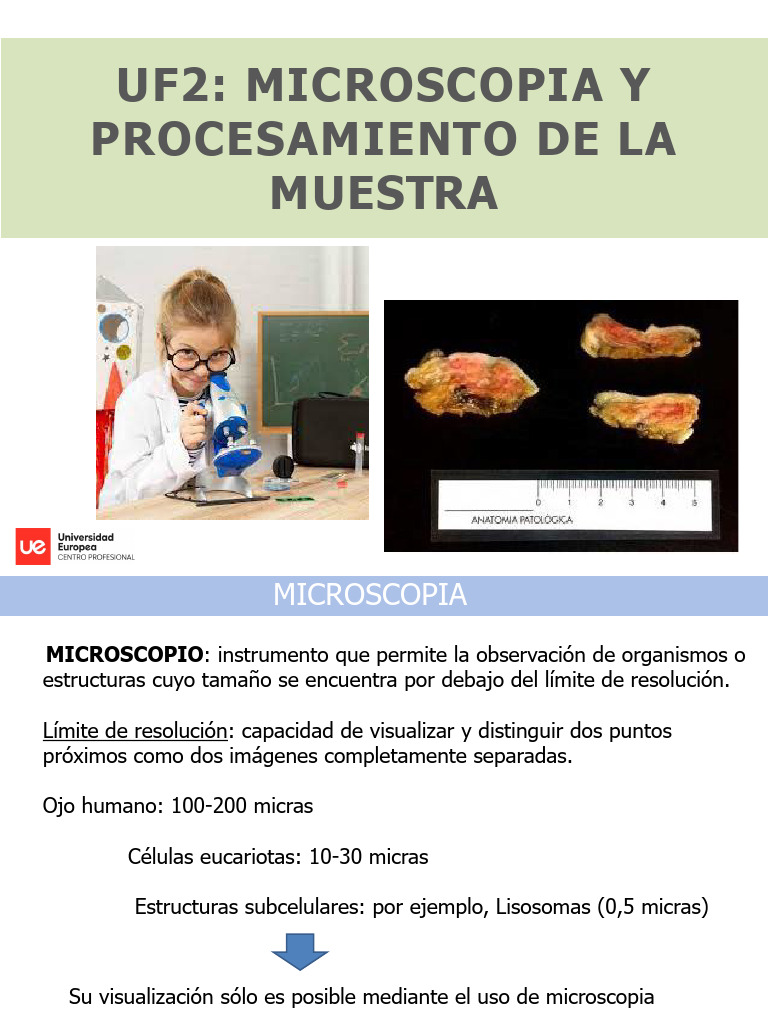 UF2 Microscopia y Procesamiento de Muestras (Parte 1) | PDF ...