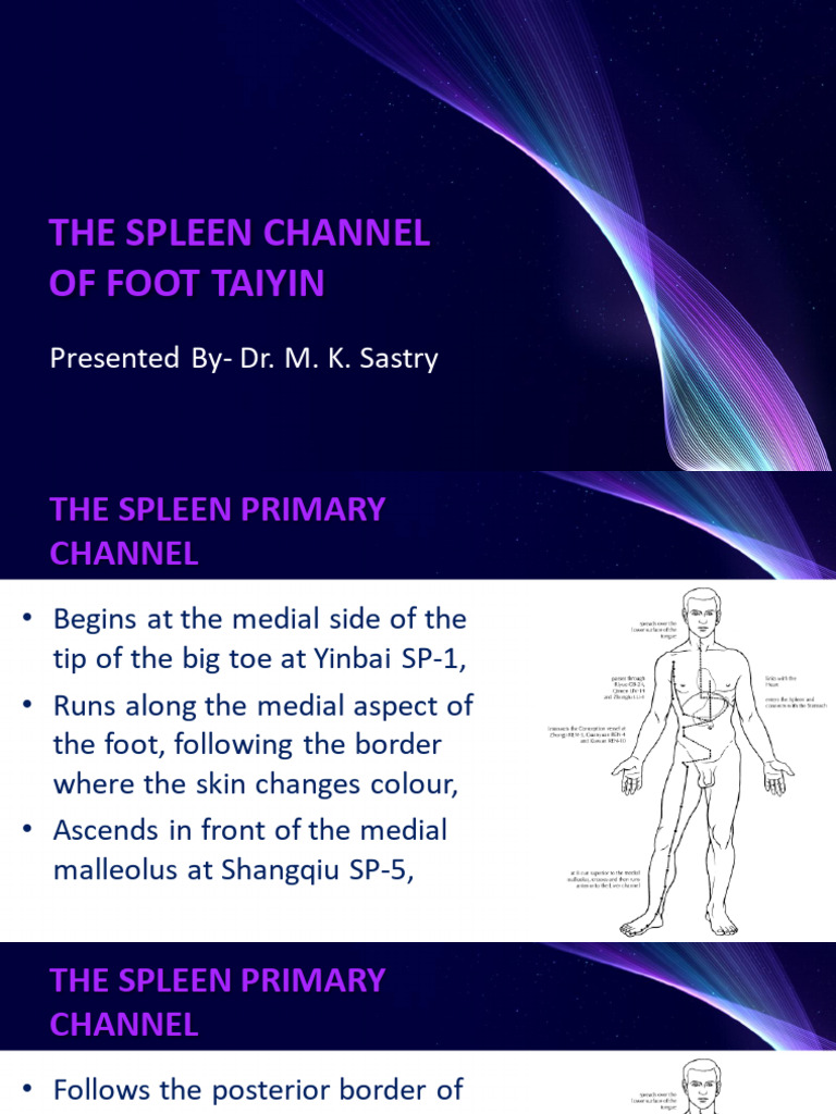 04_the Spleen Channel of Foot Taiyin | PDF | Abdomen | Thorax