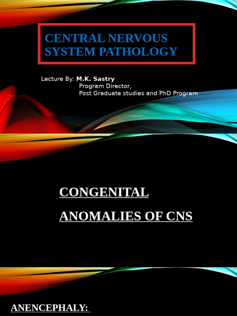 Central Nervous System Pathology | PDF | Cerebrospinal Fluid | Human ...