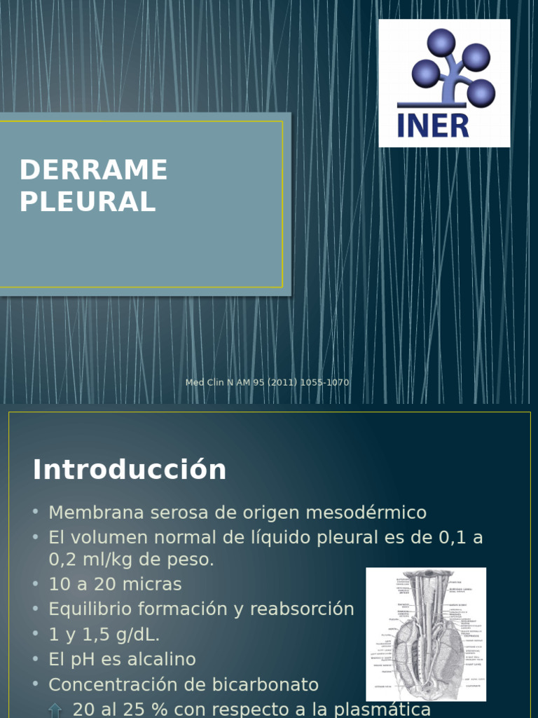 Diagnóstico de Derrame Pleural Leve | PDF | Especialidades Medicas ...