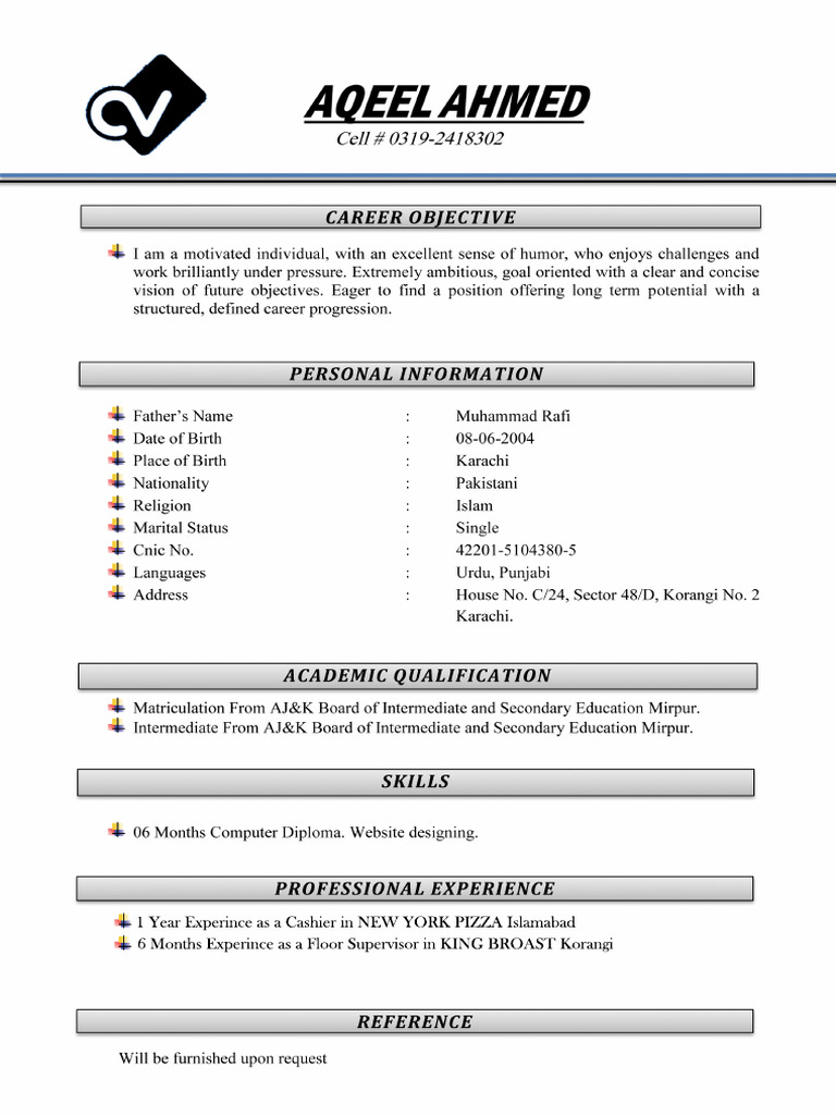 Aqeel CV | PDF