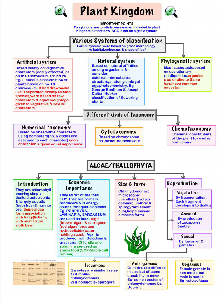 Important Mind Maps | PDF