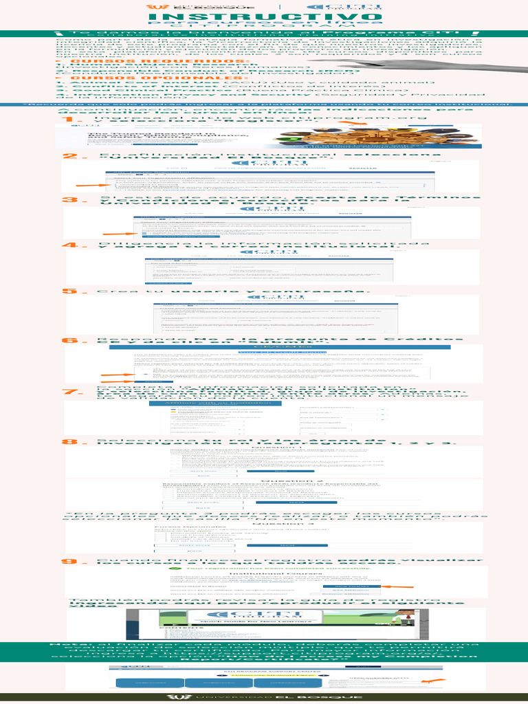 Instructivo Citiprogram | PDF