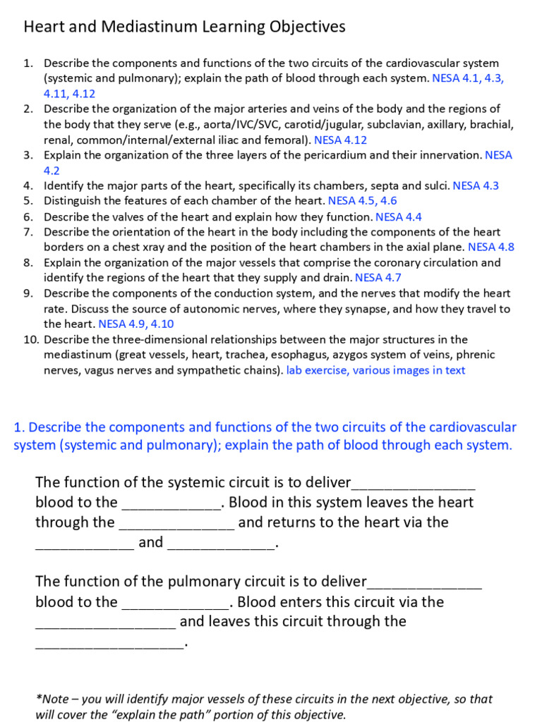 Cardiovascular System Overview Guide | PDF | Heart Valve | Coronary ...