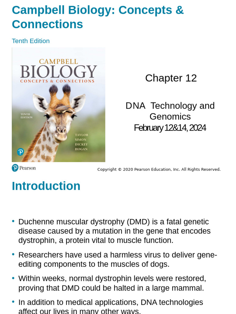 Lecture 8 Biology - Cells + Animals | PDF | Microsatellite | Molecular ...