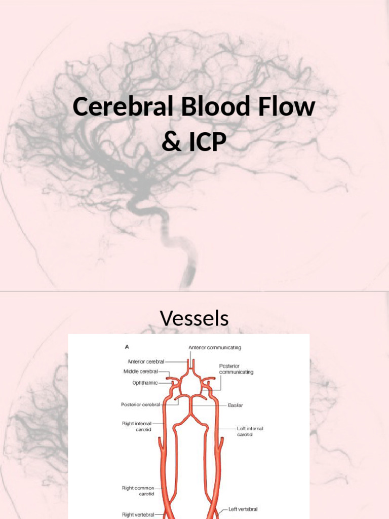 Cerebral Blood Flow | PDF | Physiology | Nervous System
