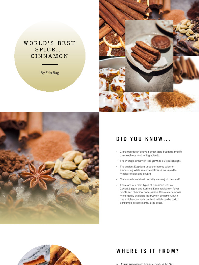 Cinnamon | PDF | Cinnamon | Natural Environment