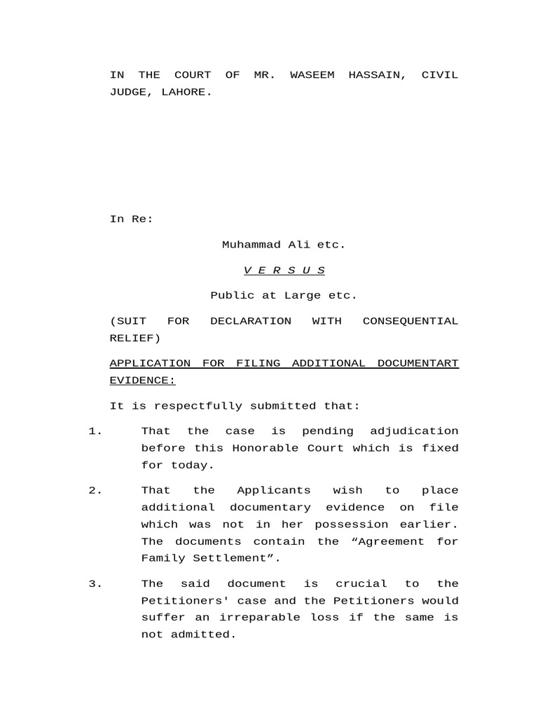 Application for Additional Evidence | PDF | Affidavit | Justice