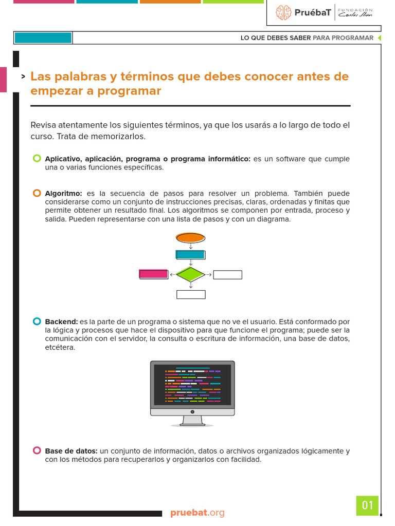 Terminos Basicos Progra | PDF | Lenguaje de programación | Programación