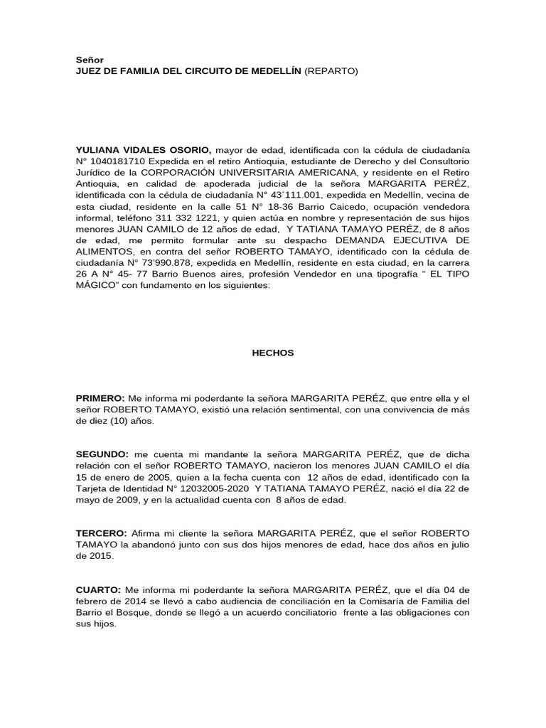 Demanda Civil Yuli | PDF | Documento de identidad | Gobierno