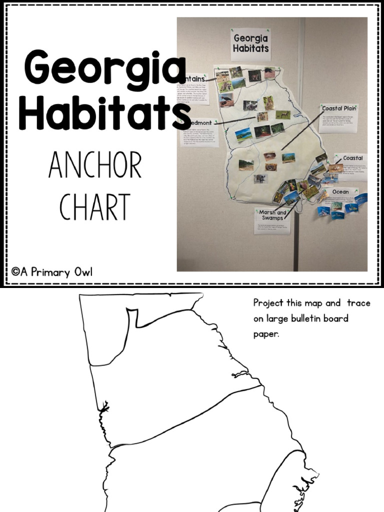 Georgia Habitats Large Anchor Chart | PDF