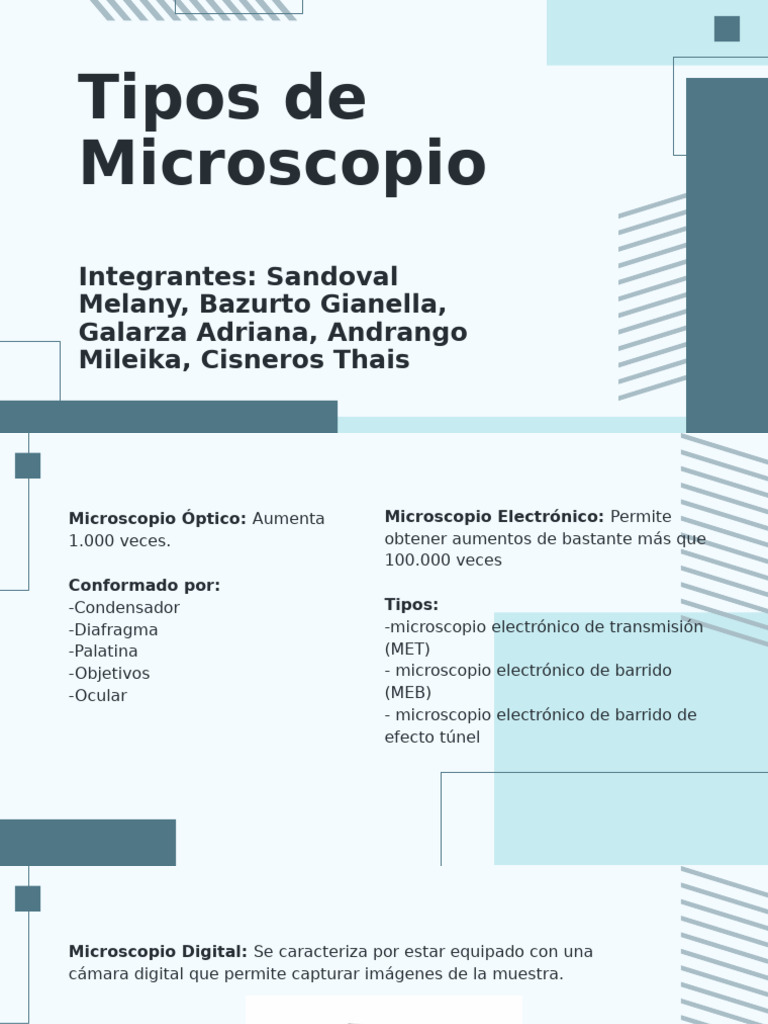 Tipos de Microscopios y Sus Usos | PDF