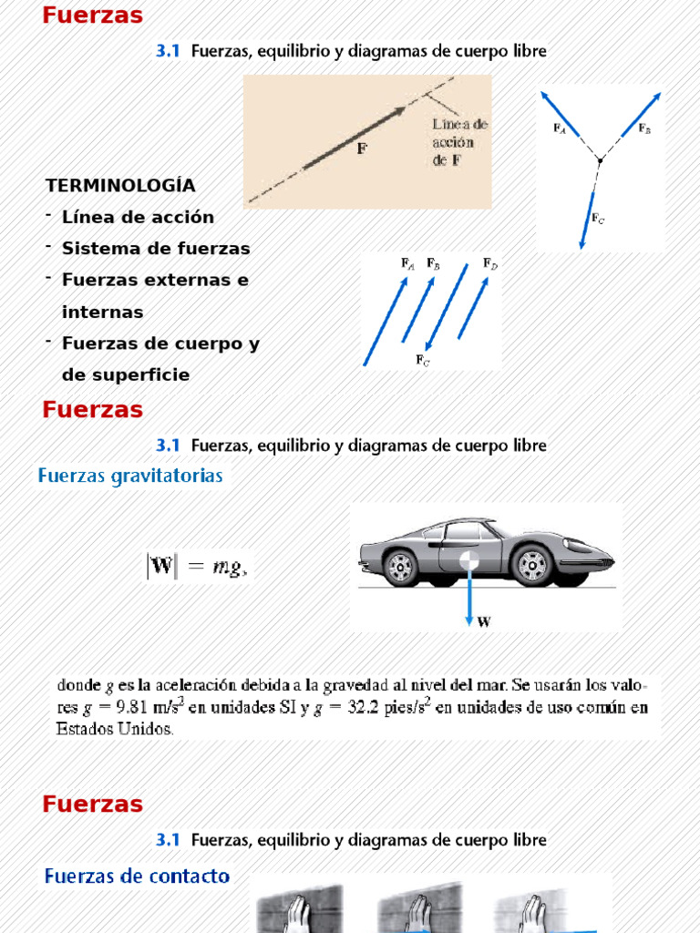 TEMA 3 Fuerzas | PDF