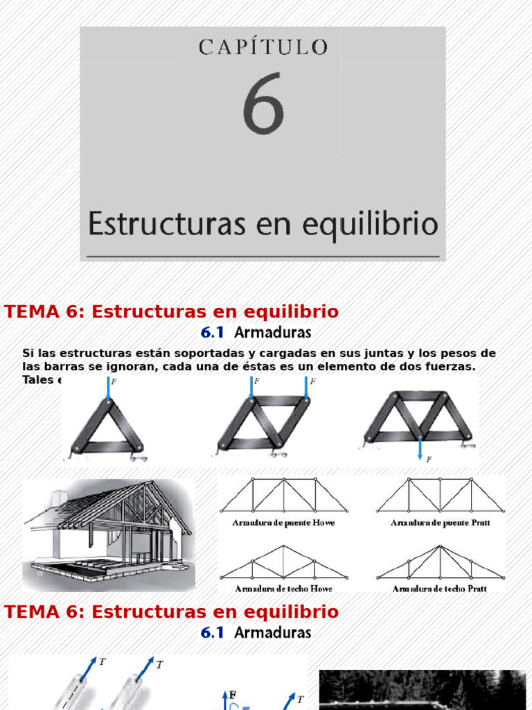 TEMA 6_Estructuras en Equilibrio | PDF