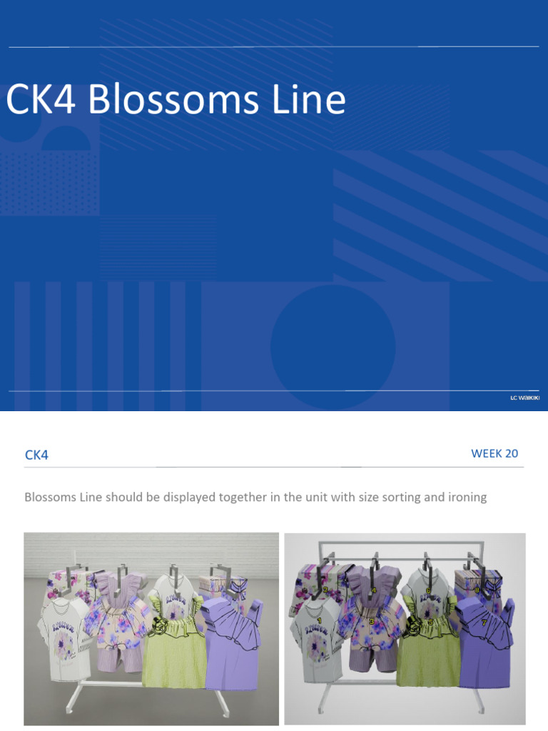 CK4 Week 20: Blossoms Line Display Guide | PDF