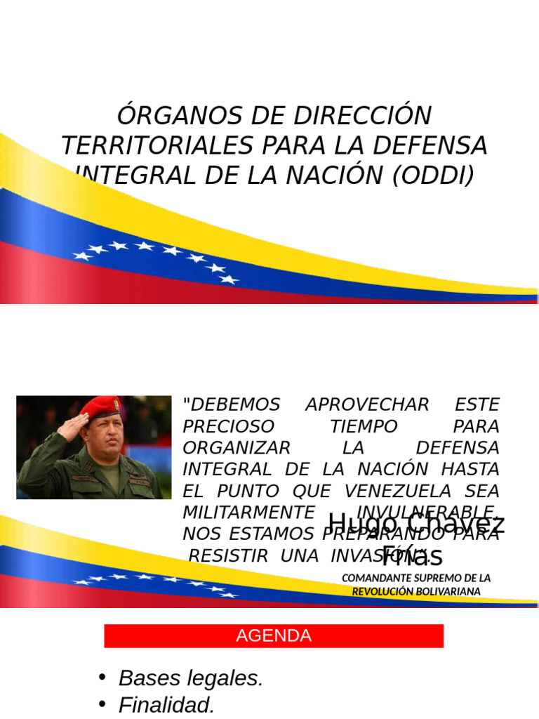Estructura y Funciones de ODDI en Venezuela | PDF