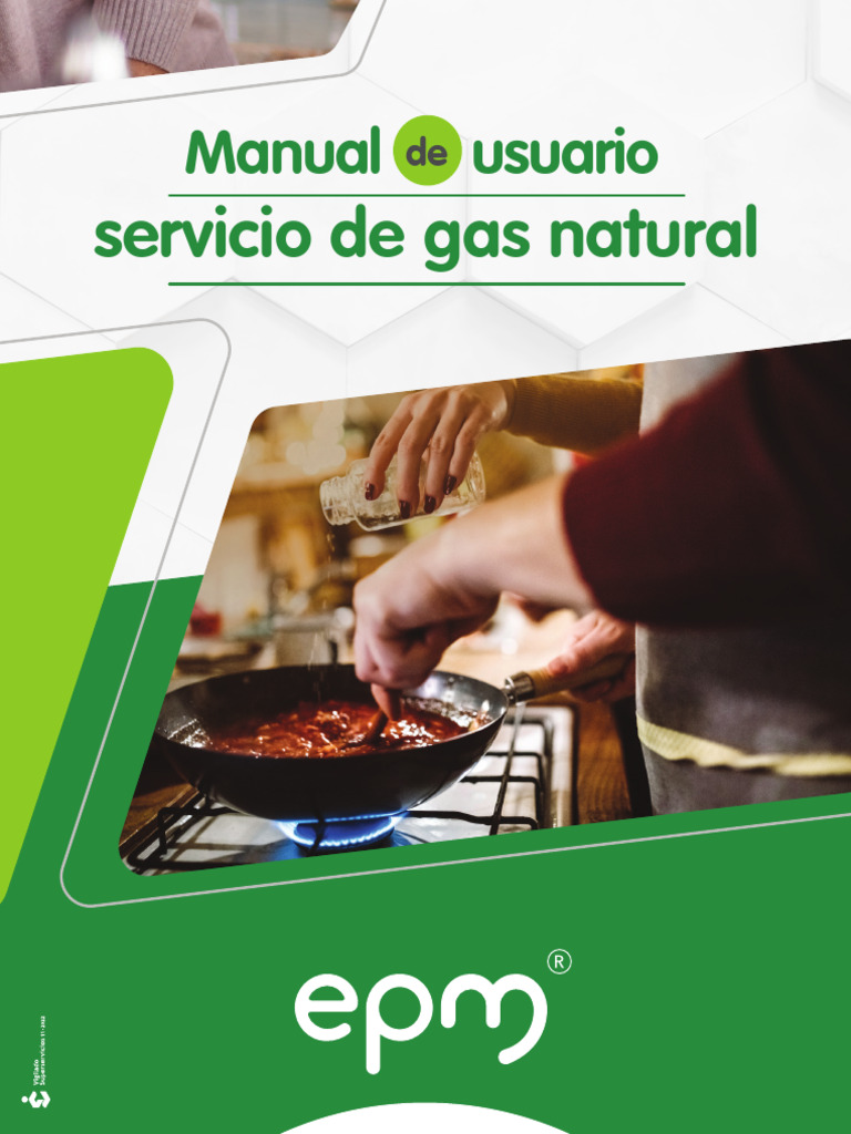 Guía Completa del Servicio de Gas Natural | PDF | Alimentos | Combustibles