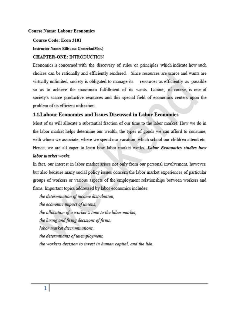 Understanding Labor Economics Principles | PDF | Labour Economics ...