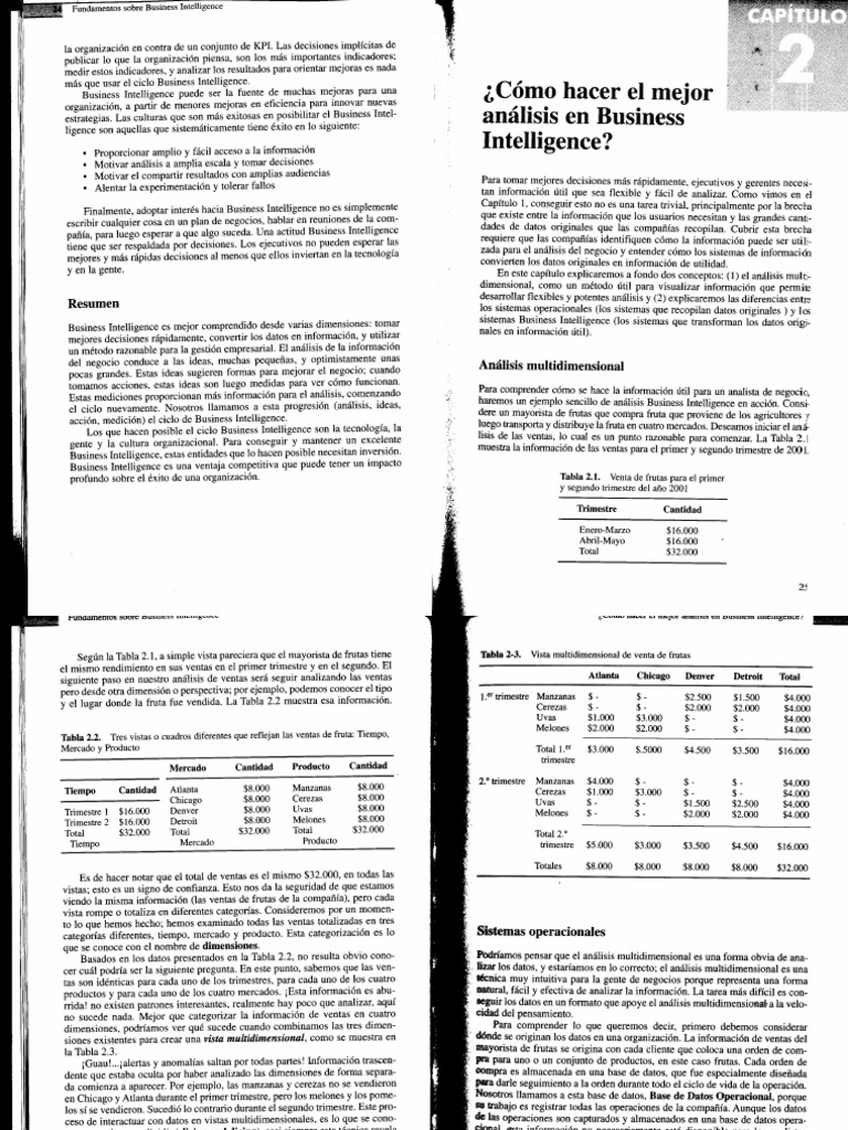 Business Intelligence Cap2 | PDF