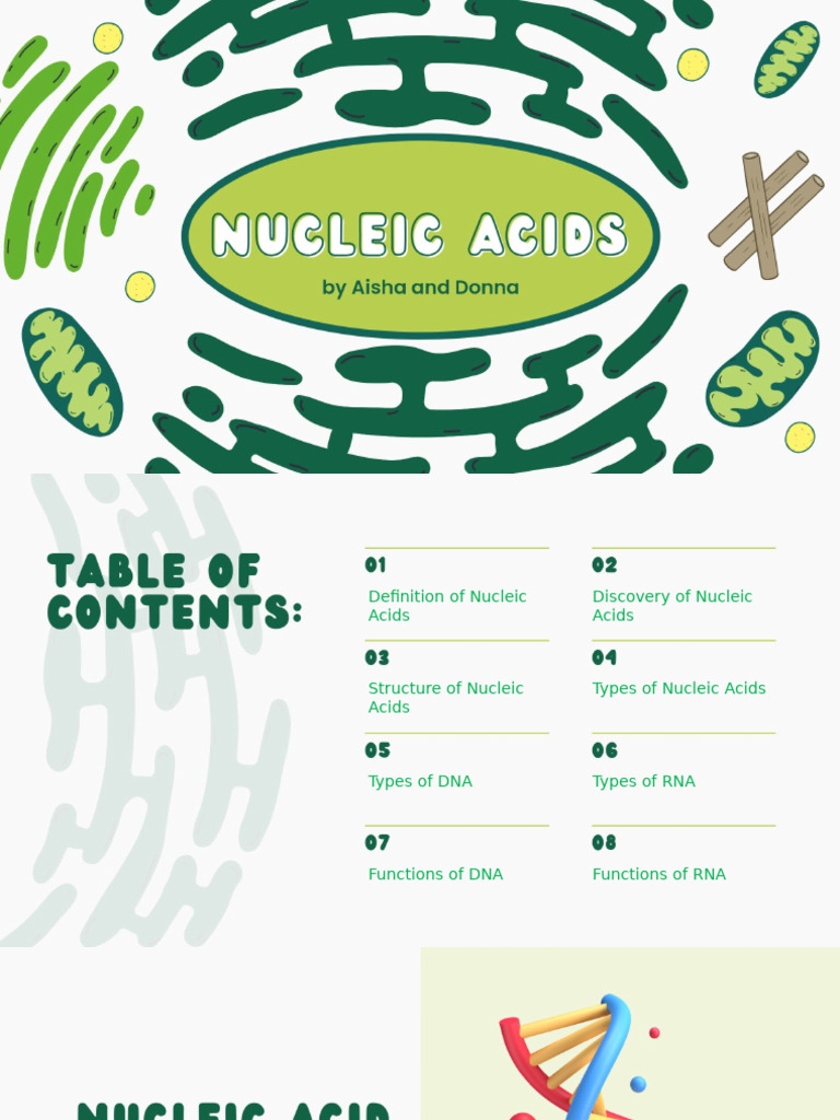 Nucleic Acids: A Comprehensive Guide | PDF | Nucleic Acids | Rna