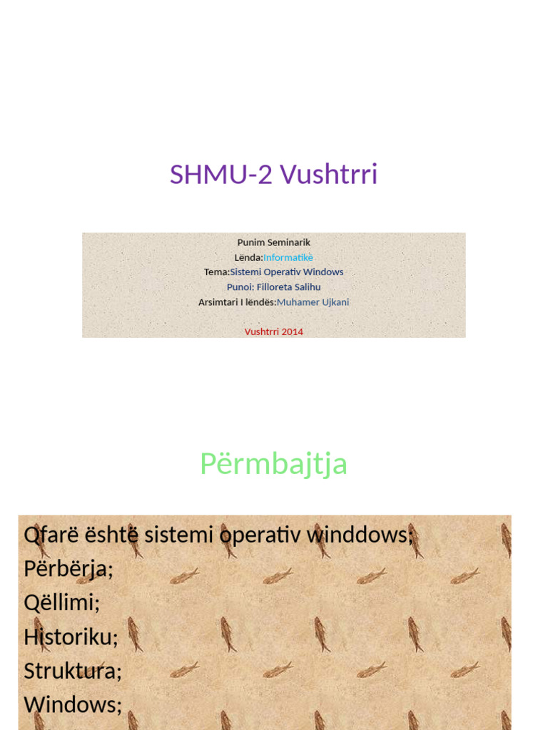 Filloreta Salihu Ix-1 Sistemi Operativ | PDF