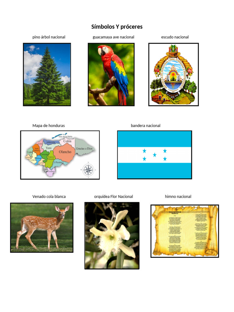 Símbolos Y Próceres | PDF | Honduras | Centroamérica