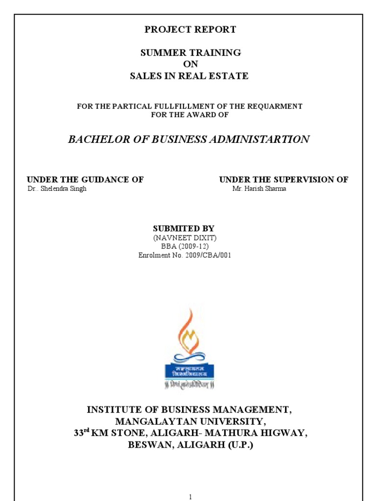 Project Report | PDF | Sales | Promotion (Marketing)